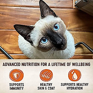 Wellness Natural Premium Canned Cat Wet Food Pate - 12 Pack Cans Variety Bundle Pack 4 Flavor - (Chicken,Beef, Salmon & Turkey) W/HS Pet Food Bowl - (5 Oz Cans)