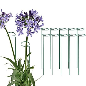 Green 36 inch Single Stem Plant Stakes Flower Support Rings, Pack of 10,Gardening Planter Cages for Single Stem Flowers, Amaryllis,Peony, Lily,Narcissus