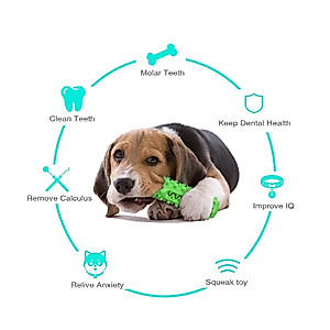 Nico's Friends Interactive Dental Toy for Dogs – Squeaky Puzzle to Clean Teeth and Promote Oral Health – Perfect for Small, Medium, and Large Breeds.