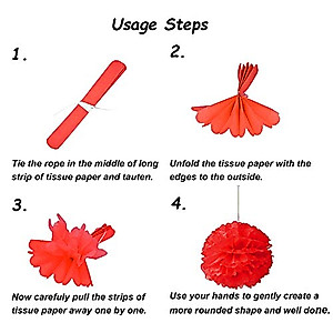 Recosis Hanging Paper Fan Set, Tissue Paper Pom Poms Flower Fan and Honeycomb Balls for Birthday Baby Shower Wedding Festival Decorations - Red