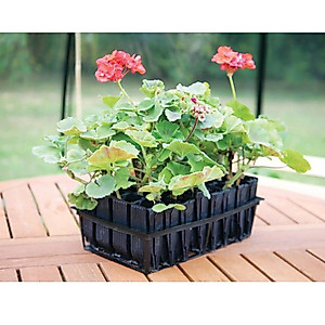 Deep Rootrainer Seed Starter, Plastic 11-1/2" L x 9" W x 3-1/2" H Overall, 32 Cells 1-1/2" Square x 5" H Each, Holding Tray and Dome Included, Promotes Downward Root Growth, Reusable