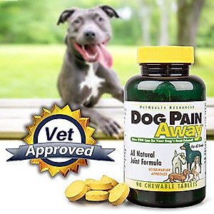 Dog Pain Away - Vet Approved Dog Pain Reliever (90 Count) - Fast Acting Pain Relief Supplement To Repair Connective Tissue and Help Alleviate Hip and Joint Pain - All Natural Chewable Tablets To Renew Your Dogs Vitality