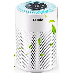 Tailulu Air Purifiers for Home Pets Large Room Up to 1722ft², H13 True HEPA Air Purifier for Bedroom, with Night Light, Sleep Mode, 4 Speed for Allergies Dust Smoke Pollen Pet Dander Hair Smell Odor