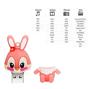 GARRULAX USB Flash Drive, 8GB / 16GB / 32GB USB2.0 Cute Animal USB Memory Stick Date Storage Pendrive Thumb Drives for Kids Children Collegue Student(32GB, Rabbit)