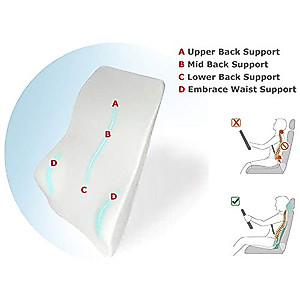 Tektrum Full Lumbar Entire Back Support Cushion for Home/Office Chair, Car Seat - Washable Cover, Ergonomic Thick 3D Design Fit Body Curve - Back Pain Relief, Improve Posture - Black (TD-QFC024-BLK)