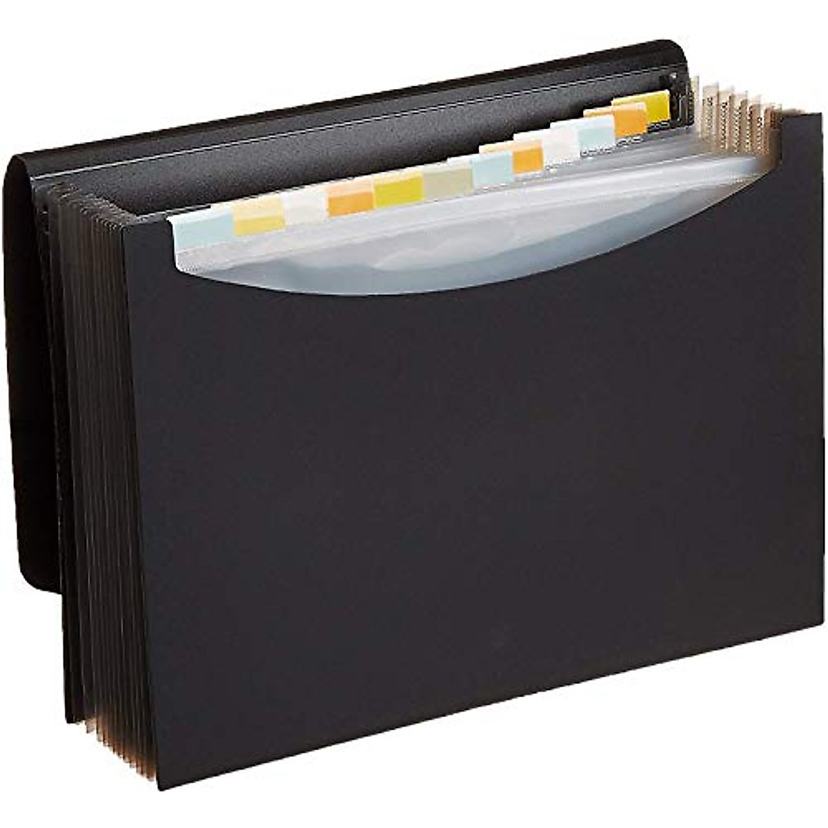 Amazon Basics Expanding Organizer File Folder, Letter Size - Black, 1-Pack