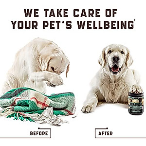 Hemp Calming Chews for Dogs with Vitamins and Minerals - Natural Dog Calming Treats with Hemp Oil - Help Your Dog Relax During Thunderstorms, Separation, Car Rides - 180 Tasty Calming Dog Treats