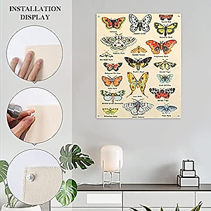 Lourny 3Pcs Flower Tapestry Wall Hanging - Wildflower Plant Floral Fruit Tapestry Butterfly Botanical Small Tapestries for Bedroom Living Room