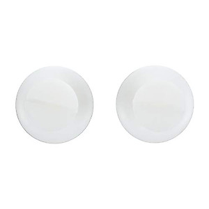 Danco 80822 Toilet Seat Hinge Bolts, 0.49 lbs, White