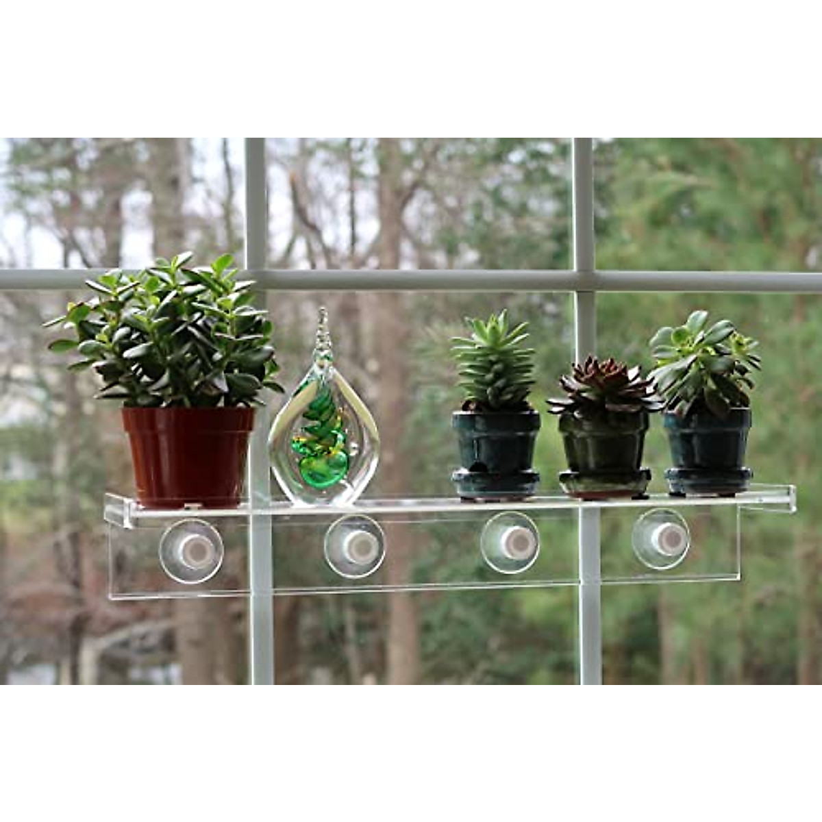 LaBrinx Designs Extra Large Suction Cup Shelf - Live Plants, Windows, and Bathrooms