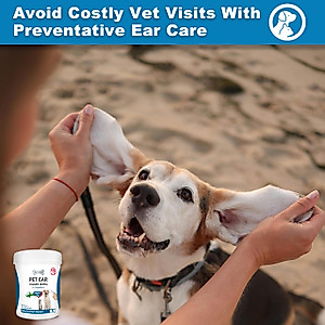 SoFednan Ear Finger Wipes，Pet Ear Cleaner Finger Wipes for Dogs and Cats，Remove Ear Wax and Dirt，Stop Smelly & Itchy Ears, Non-Irritating - Hypoallergenic (60 Count, Mint Scent)