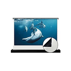 VIVIDSTORM-Projector Screen with Stand Portable Folding Stand Indoor Tension Floor Screen 4k HD All White Cinema, 4K/3D/UHD Gaming/Home Cinema,Compatible with Normally Projector,VSDSTWA84H