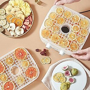 Food Freeze Dryer Machine for Home, Dryer Machine for Candy and Snacks, Food Dehydrator Machine with Digital Adjustable Timer and Temperature Control, for Beef Fruits Meat Vegetables (Blue)