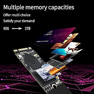 Kingshark gamer M.2 SSD 64GB SATA III 6 Gb/s, (2280mm) Internal Solid State Drive - Compatible with Desktop PC Laptop (M.2 2280, 64GB*5Pack)