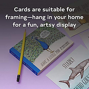 Have a Little Pun: 30 Postcards: (Illustrated Postcards, Book of Witty Postcards, Cute Postcards)