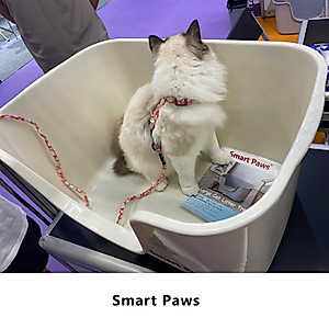 Smart Paws Extra Large Jumbo Cat Litter Box for Maine Coon Cats, Open Top High-Sided Anti-Splash Litter Pans, Durable XL Kitty Bathroom for Multi-Cat Households (Grey)