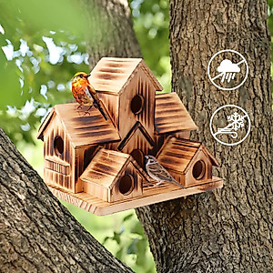 Bird Houses for Outside,Wooden Bird House,Hanging Bird House,6 Hole Natural Handmade Natural Bird House,Beautiful Birdhouses for Backyard/Courtyard/Patio Decor