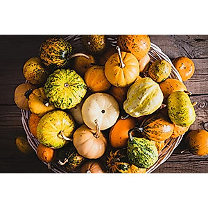 "Large Gourd Mix" Squash Seeds for Planting, 25+ Heirloom Seeds Per Packet, (Isla's Garden Seeds), Non GMO Seeds, Great Home Garden Gift, Decorative Squash Gourds
