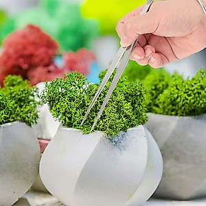 GANAZONO Stainless Steel Spatula 2pcs Bonsai Tweezers Curved Serrated Tips with Spatula Stainless Steel Japanese Professional Bonsai Tools Gardening Tool Rake Tweezers for Bonsai Planter Multitools