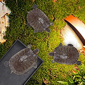 YOLUFER Reptile Food Water Bowl Plate Dish for Tortoise Crawl Pet Drinking and Eating Hallow Water Dish for Reptiles (Size3-L)
