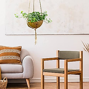 BRAINY ESSENTIALS Natural 100% Hanging Real Coconut Pot Planter - Perfect for Indoor and Outdoor Decoration, Bonsai, Flowers, Herbs - Handcrafted 100% Natural, Made of Real Coconut Bowls