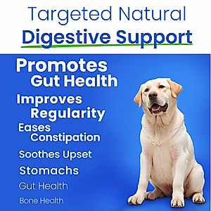 BARK&SPARK Pumpkin for Dogs - Pumpkin Fruit and Seed Powder - Powdered Fiber Supplement and Stool Softener - Improve Digestion - Made in USA - 8oz