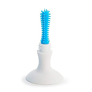 Munchkin® Bristle™ Bottle Brush, Blue, 2 Pack