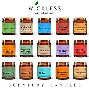 Wickless Candles For Candle Warmer Lamp, Many Scents To Choose, 100% Non-Toxic Soy Wax, Scented Candle Melts For Warming Plate, Handmade In The USA (Citrus Sunshine)