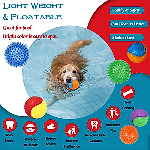 Cdyzqikm 2.3” Squeaky Dog Toy Ball Pack High Bouncy Ball for Interactive Playing Spikys Pet Balls for Teeth Cleaning Durable Tough Chew Toys for Small & Medium Dogs Fetch Training Teething Balls 6Pcs