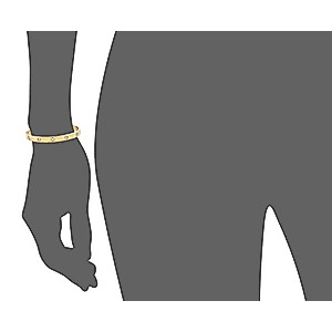 My Daily Styles Stainless Steel Womens Hinged CZ Bangle Bracelets (Yellow)