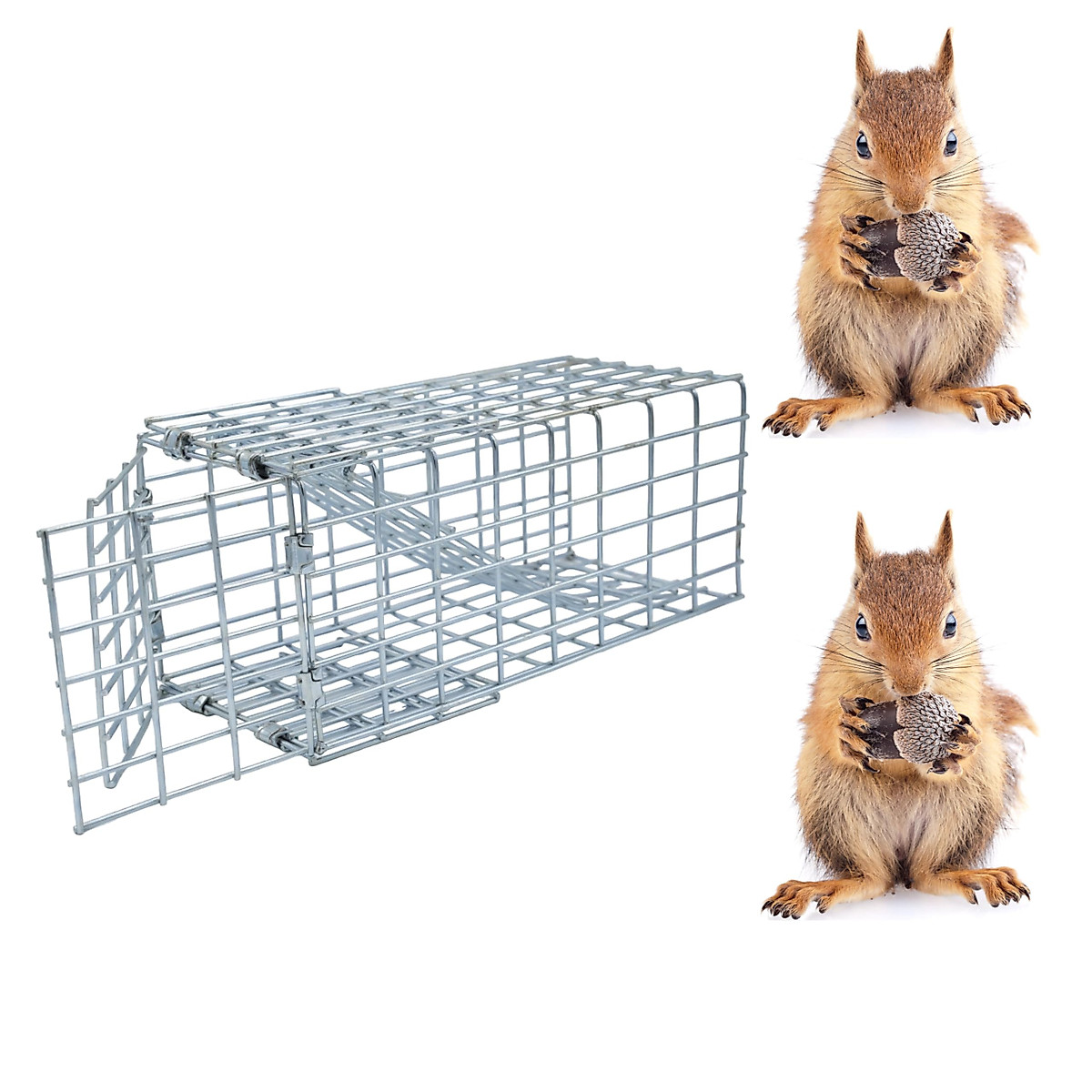 one Way Door Squirrel|Traps Alternative|one Way Door Squirrel|Squirrel Trap Live Trap Squirrel Traps