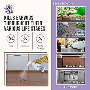 Bella's Barrier Earwig Repellent - Kills and Repels Earwigs, Bugs, Ants, Fly Spray and More - Bug Spray for Home, Spray Indoor and Outdoor, Indoor Bug Spray Care for Pets (16 Oz)