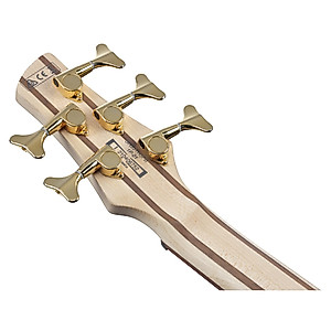 Ibanez SR405EPBDX 5-string Electric Bass - Tropical Seafloor Burst