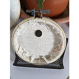 Luna Moth Needle Minder