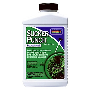 Sucker Punch Plant Growth Regulator, Ready-to-Use Brush Top, 8-oz.