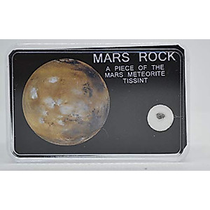 Space Collection 2020: Eight Meteorites Around The World, Mars Rock, Moon Rock