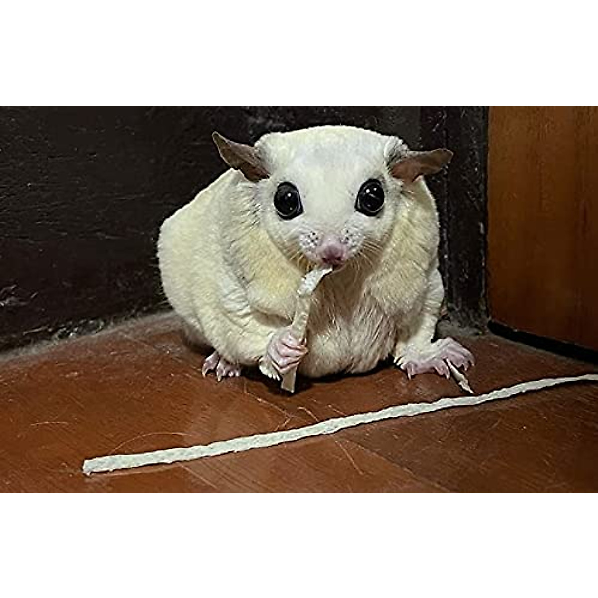 PETIVORE Premium Large Pack Fish Stick for Sugar Glider - Made with Real Fish - Hamster, Squirrel, Chinchillas, Marmoset, Small Exotic Animal Pet Treats, Snacks and Food (120g)