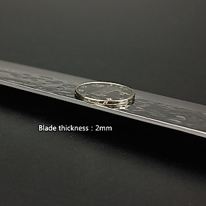 YOUSUNLONG Sashimi Knife 10 inch Fish Fillet Knife Yanagiba Slicer Sushi - Japanese Hammer Damascus Steel Blade - 254mm Right Handed Carving Knife - Natural Walnut Wood Sheath with Flannel Knife Bag