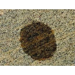 Bioclean Hard Water Stain Remover 20.3 oz