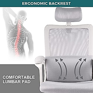 Office Chair, Ergonomic Mesh Home Office Computer Chair with Lumbar Support/Adjustable Headrest/Armrest and Wheels/Mesh High Back/Swivel Rolling