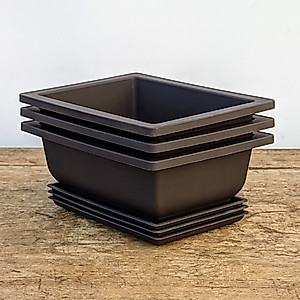 Tinyroots Bonsai Pots with Humidity Trays - Training Planters, Built in Mesh, 6-inch and 8-inch
