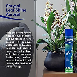 Chrysal Leaf Shine Spray for Indoor Plants (15 Ounce 1 Pack)