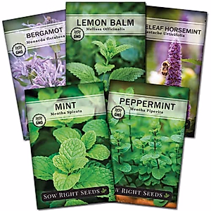 Sow Right Seeds - Mint Garden Seed Collection - Peppermint, Mint, Bergamot, Horsemint, and Lemon Balm - Non-GMO Heirloom Seeds with Instructions for Planting Indoors or Outdoors - Great Gardening Gift