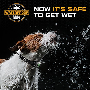 INVIROX Shock Collar for Large Dog [Spark K9] 124 Levels with Remote 1100yd Range, Night-Light Mode for Medium Dogs IP67 Waterproof Training Collar for Dogs