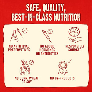 Stella & Chewy’s Freeze-Dried Raw Coated Dog Biscuits – Cage-Free Chicken Recipe – Protein Rich, Grain Free Dog & Puppy Treat – Great Snack for Training & Rewarding – 9 oz Bag