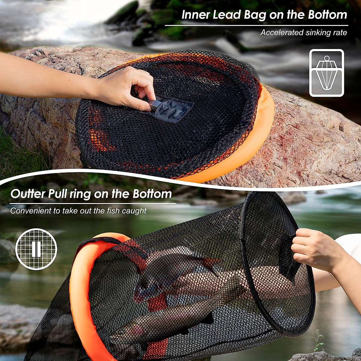 QualyQualy Foldable Fish Basket - Portable Collapsible Fishing Net Storage Cage for Live Fish