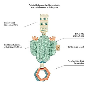Itzy Ritzy - Ritzy Jingle Toy for Stroller, Car Seat or Activity Gym; Features Jingle Sound, Hexagon Rings and Adjustable Attachment Loop; Cactus