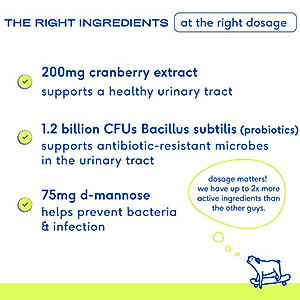 Native Pet Dog UTI Treatment - Cranberry Chews for Dogs and Cat UTI - Bladder Control for Dogs - Dog Urinary Tract Infection Treatment - UTI Medicine for Dogs - Dog Cranberry Supplement - 60 Chews