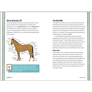 Horse Life: The Ultimate Guide to Caring for and Riding Horses for Kids