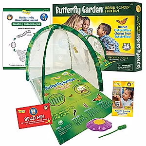 Insect Lore - Butterfly Growing Kit - Clear Front Facing Viewing Panel - Pre-Paid Voucher to Redeem Caterpillars Later – Life Science & STEM Education – Butterfly Science Kit